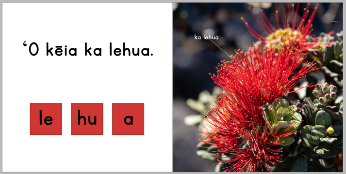 Ka Lehua & Ka ʻŌhiʻa Bundle – Kaulana Mahina